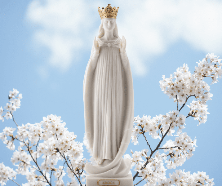 Our Lady of Knock (12") | Knock Shrine